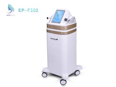 China 3 System In 1  Ice Sculpture Cryo Therap HIFU Radio Frequency With 3~5 Tips 1.5mm 3.0mm 4.5mm 8.0mm 13.0mm for sale