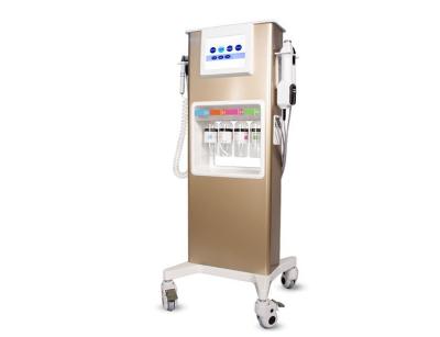 China Salon Use Hydra Facial Dermbrasion Alice Bubble Facial Skin Tender for sale