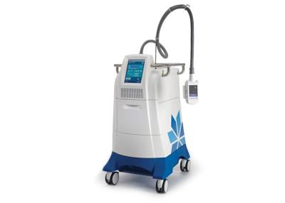 China Cryolipolysis Body Slimming Machine with 4 Cryo Probes different Size for sale