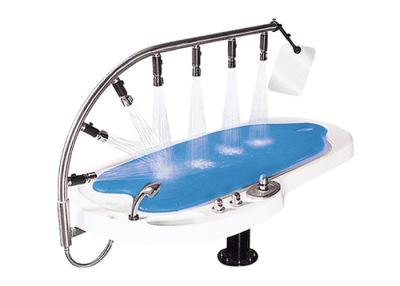 China Hydrotherapy High Pressure Water Surfing Vichy Shower Massage Spa Bed for sale