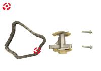 China Auto Camshaft Timing Chain Tensioner Kit for Land Rover OE 1316113 2.0L for sale