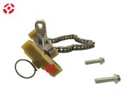 China Auto Camshaft Timing Chain Tensioner Kit for Land Rover OE 1316113 2.0L for sale