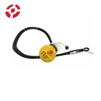 China Auto Fuel Pump Assembly Electric Fuel Pump for Volvo Fuel Supply Unit 30792734 12V for sale