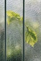China 3-12mm Patterned Tempered Glass Customize Size For Decorative Building Window Doors for sale