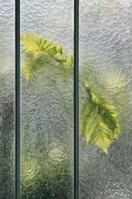 China 3-12mm Patterned Tempered Glass Customize Size For Decorative Building Window Doors for sale