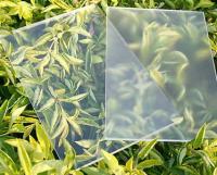 China Customized Size/Clear/Solar/Float Photovoltaic Glass for Curtain Wall & Building Windows for sale