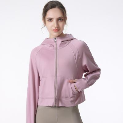 China Light Running Zipper Long Sleeve Sports Jackets Ladies Workout Sweater 2XL for sale