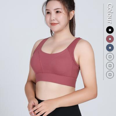 China Sexy Mesh Plus Size Sports Bra Gathered Nylon Spandex 3 Colors for sale