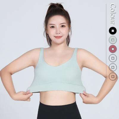 China U Shaped 4XL Plus Size Sports Bra Full Cup One Piece Breathable Moisture Wicking for sale