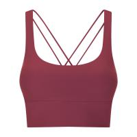 China Double Shoulder Strap Womens Sports Bra Shockproof Breathable Customized for sale