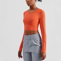 China Rib Striped Ladies Yoga Tops Active Stretch Fitness Long Sleeve Yoga Crop Top for sale