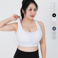 China High Intensity Workout Plus Size Sports Bra Latex Pad Shock Resistant for sale