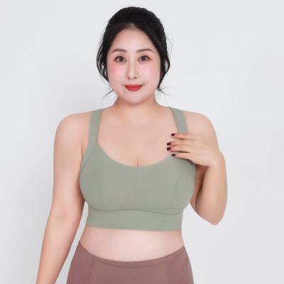 China Cross Strap Plus Size Sports Bra Woven Traceless Back Buckle High Elastic for sale