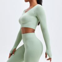 China Stretchable Female Yoga Set Clothes Seamless Running Ribbed Crop Top Leggings for sale