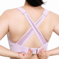 China Shoulder Strap Plus Size Padded Sports Bra Zip Front Underwear Fixed Pad for sale