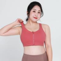 China Shoulder Strap Plus Size Padded Sports Bra Zip Front Underwear Fixed Pad for sale