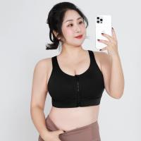 China Shoulder Strap Plus Size Padded Sports Bra Zip Front Underwear Fixed Pad for sale