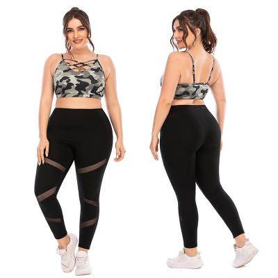 China Printed Women's Sports Bra And Leggings Set 3XL Plus Size Breathable Sexy for sale