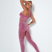 China Mesh Ventilation Yoga Set Clothes Quick Drying Nylon Seamless Yoga Gym Set for sale