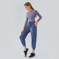 China Pro Skin Breathable Long Sleeve Workout Ladies Yoga Tops Slim Fit Casual Shirts for sale