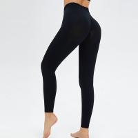 China Four Way Stretch Seamless Workout Leggings High Waisted Nylon Tight for sale