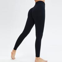 China Four Way Stretch Seamless Workout Leggings High Waisted Nylon Tight for sale