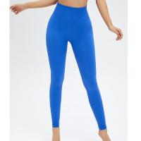 China Blue Elastic Seamless High Waisted Tummy Control Workout Leggings for sale