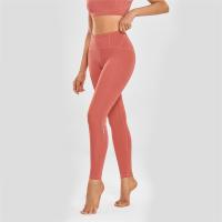 China Mesh Breathable Plus Size Yoga Pants Sports Leggings Polyester Spandex for sale
