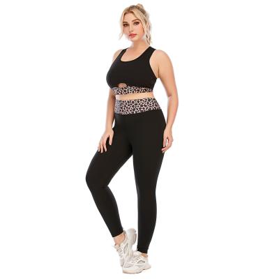 China Anti UV Women's Plus Size Sportswear High Waist Matching Sports Bra And Leggings for sale
