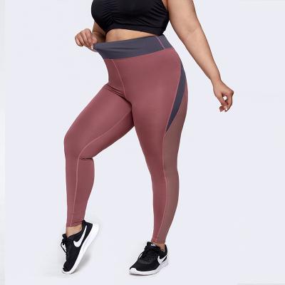 China Womens Tight Plus Size Yoga Pants Mesh Splicing High Elastic Quick Dry for sale