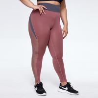 China Womens Tight Plus Size Yoga Pants Mesh Splicing High Elastic Quick Dry for sale