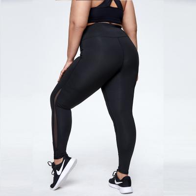 China Size 4XL Plus Size Yoga Pants Colorfast Moisture Wicking Mesh Breathable for sale