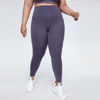 China 90 Polyester 10 Spandex Plus Size Yoga Pants High Elastic With Side Pockets for sale