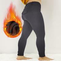 China Full Seat Winter Horse Riding Pants Brushed Fabric Equestrian Tights Anti Pilling for sale