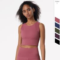 China Thickened High Density Fabric Shockproof Gathered Sports Women Fitness Underwear for sale
