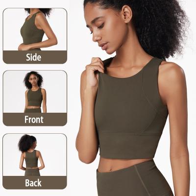 China Thickened High Density Fabric Shockproof Gathered Sports Women Fitness Underwear for sale