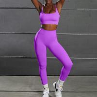 China Quality 11 Colors Seamless Gym Clothing Outfits Women Fitness Yoga Set for sale