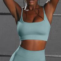 China Breathable Seamless Women Sports Bra Csold Workout Clothing for sale
