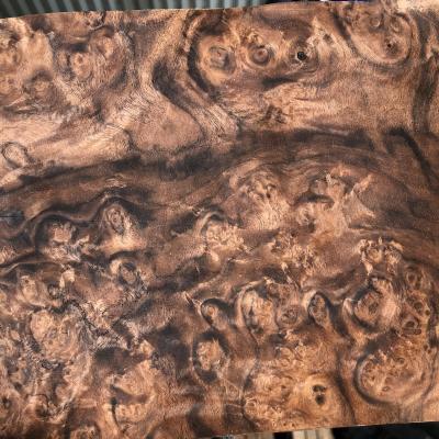 China Natural Black Walnut Tree burl Wooden Veneer A/AA Grade，100-195CM*0.45MM for sale