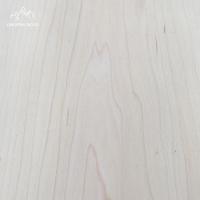 China Maple Wood Veneer | Flat Cut | 0.45mm | LINGFENG for sale