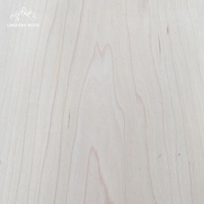 China Maple Wood Veneer | Flat Cut | 0.45mm | LINGFENG for sale