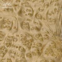 China Golden Madrone Burl Veneer 0.45mm Natural Wood Veneer Sheet With Fabric Backed for sale