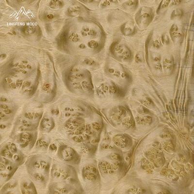 China Golden Madrone Burl Veneer 0.45mm Natural Wood Veneer Sheet With Fabric Backed for sale