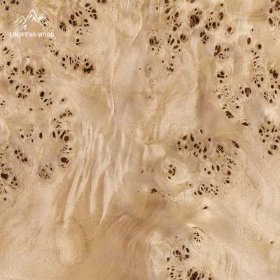China Catagory Natural Wood Veneer Sheet 0.5mm±0.05mm Thickness Mappa Burl Veneer for sale