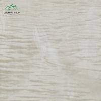China Maple Figured Veneer 0.45mm for Furniture Length 2450-3600mm Moisture Content 8%±2% for sale