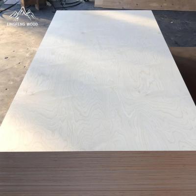 China Baltic Birch Plywood BB/BB Waterproof Phenolic Adhesive Marine Plywood 4mm-40mm for sale