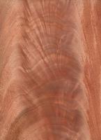 China Okoume Crotch Veneer 0.6mm for sale