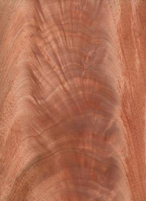 China Okoume Crotch Veneer 0.6mm for sale