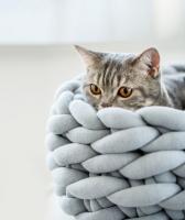 China Chunky Knit Donut Cat Bed Nonslip Washable 35cm 40cm 45cm Pet Nest for sale