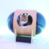 China Wooden Cat Dog Space Capsule Bed 60x40cm with Clear Acrylic Dome for sale